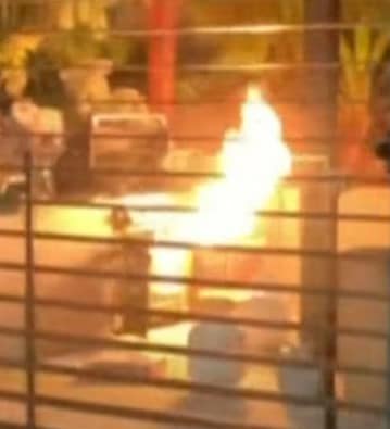 BBQ Safety Basics - Barbeque Grill Safety - ELGAS